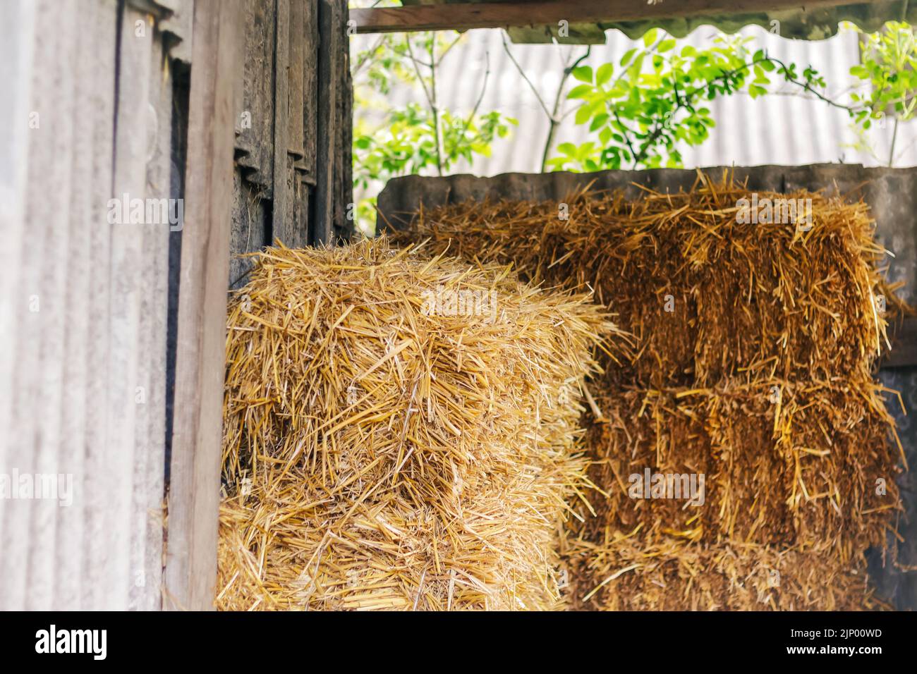 Placeable Straw Pile Clipart