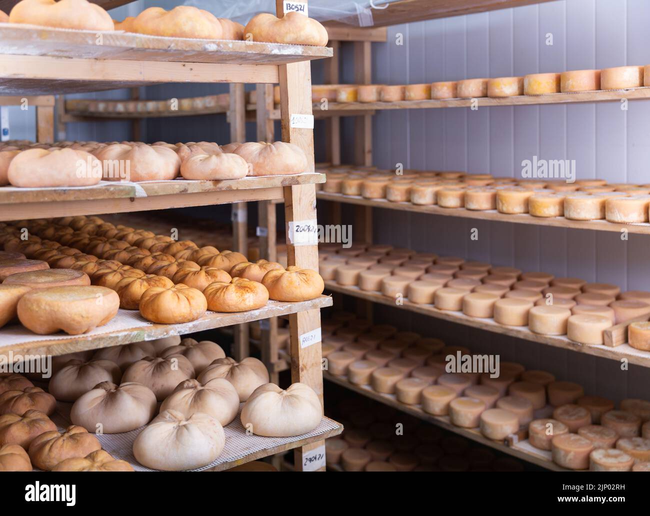 Shelves with cheese at cheese warehouse. Numbers on white pieces of ...