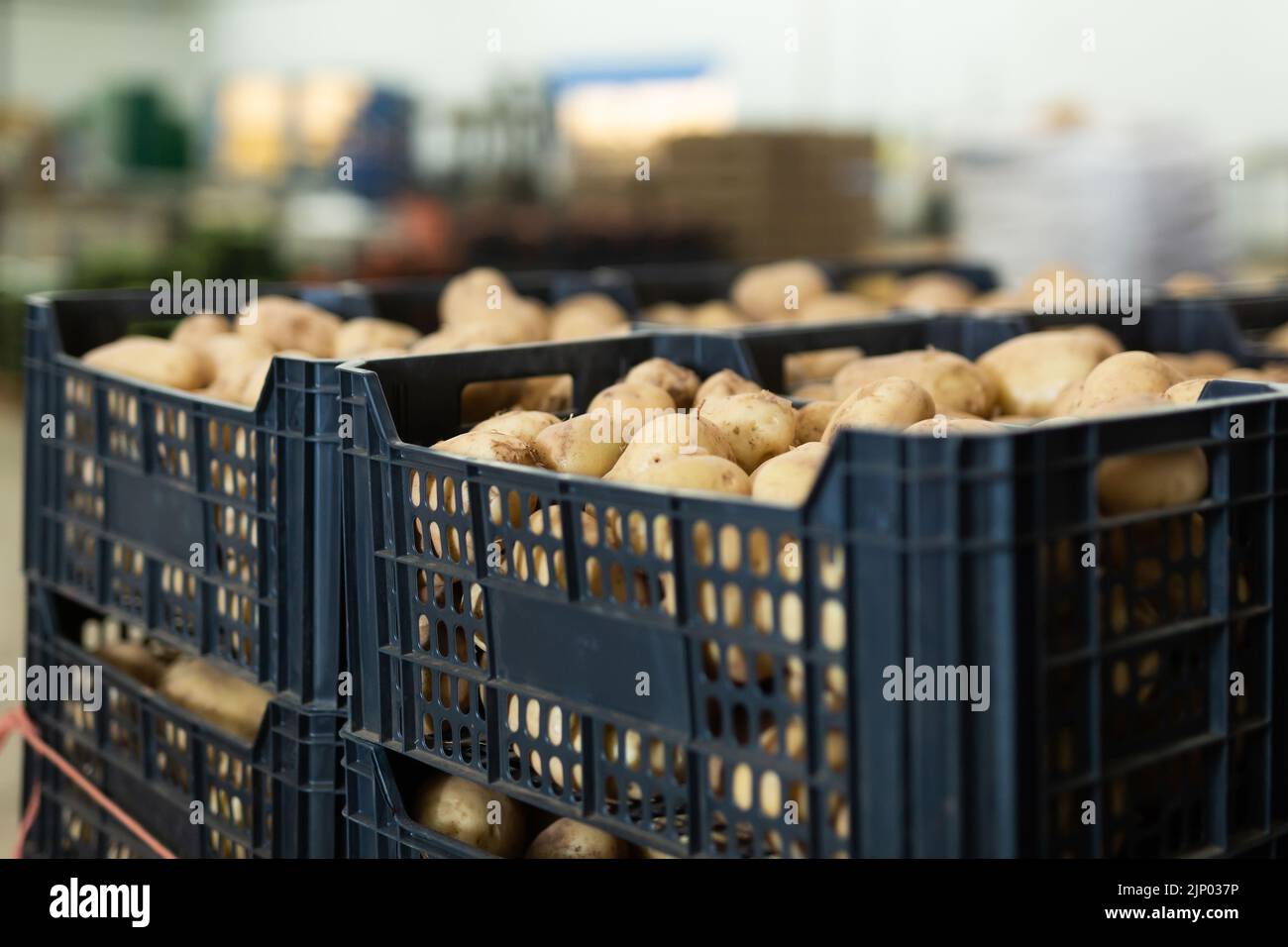 Potatoes in crates stacked in vegetable warehouse Stock Photo - Alamy