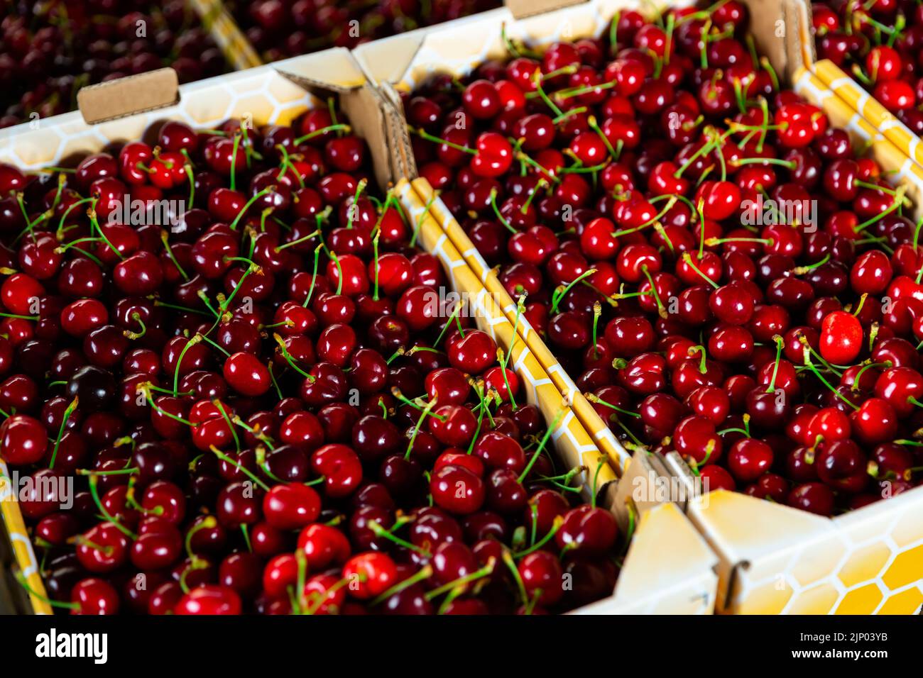 Fresh cherry on counter in supermarket Stock Photo - Alamy