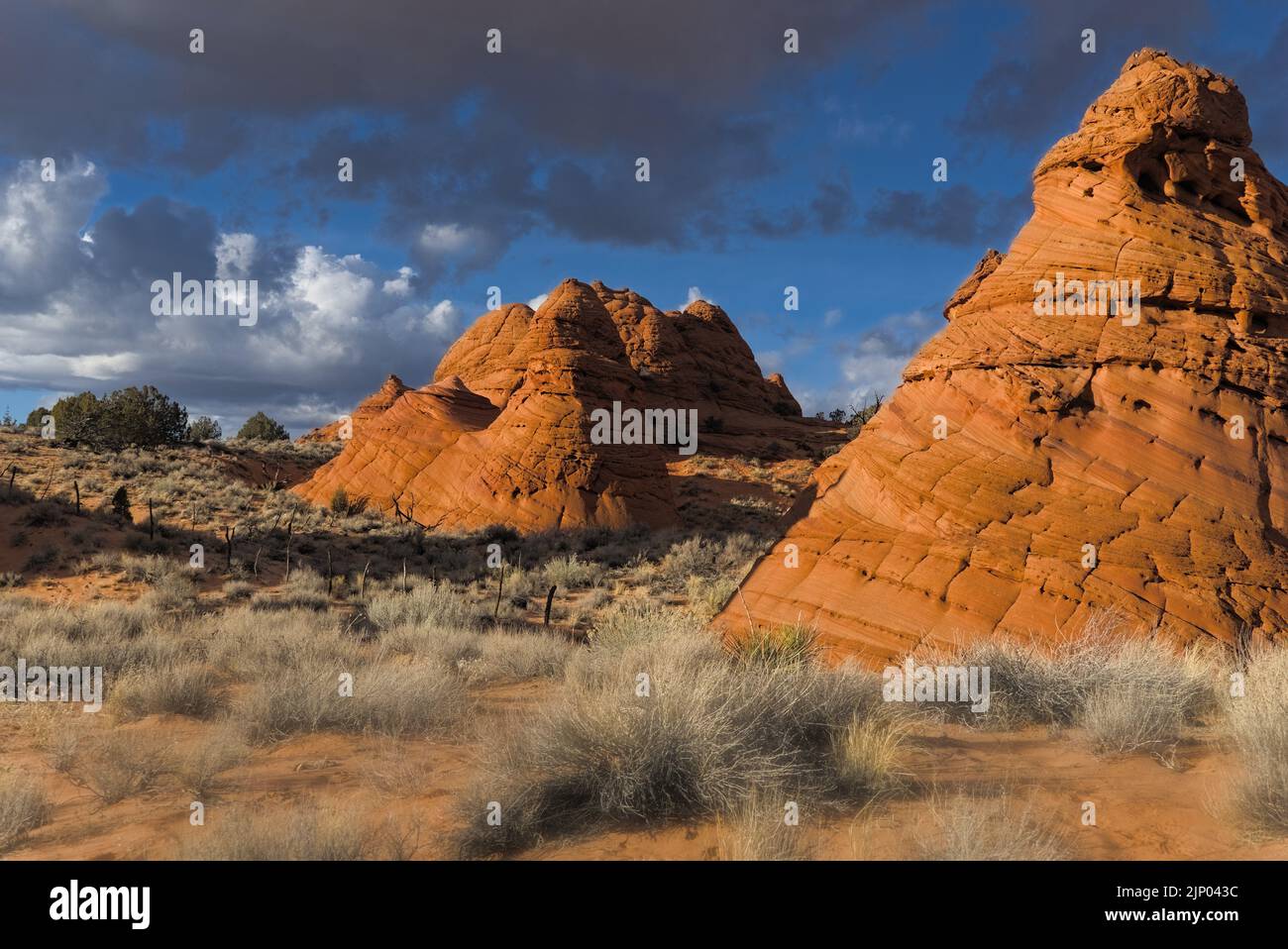A group of red rock pigments on a brown grass hi-res stock photography ...