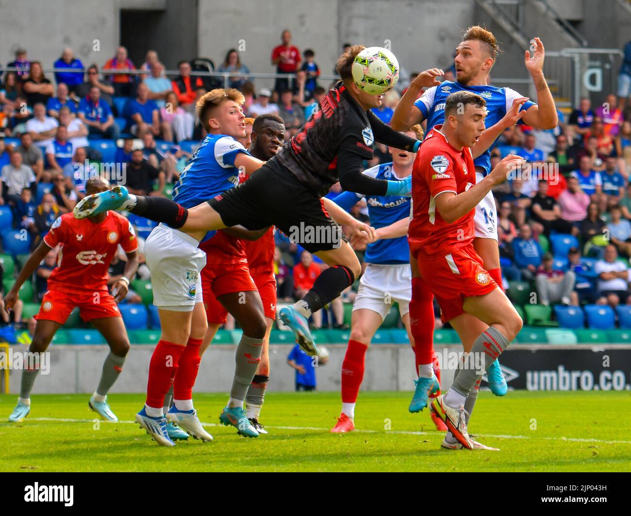 Portadown linfield hi-res stock photography and images - Alamy