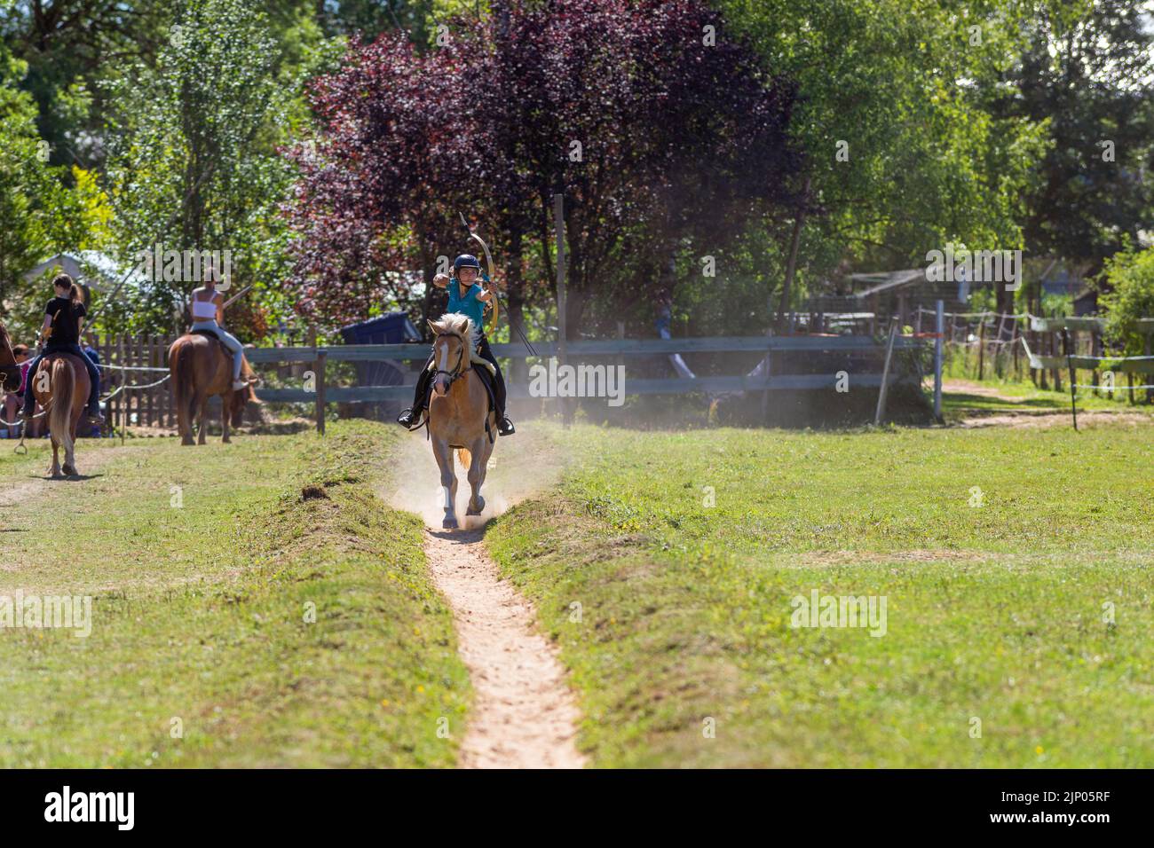 Luxembourg horse 2022 hi-res stock photography and images - Alamy