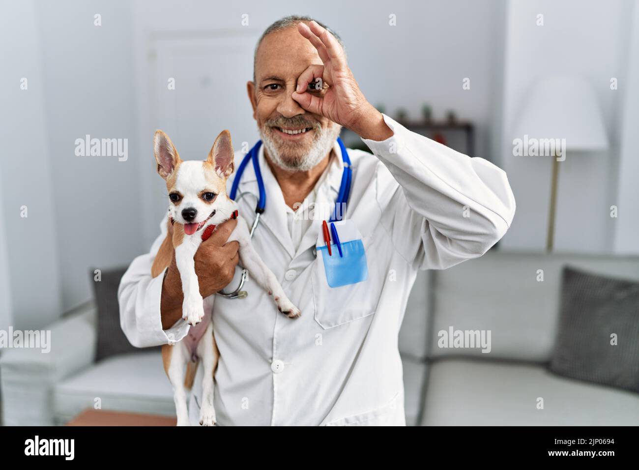 Mature veterinarian man checking dog health smiling happy doing ok sign ...