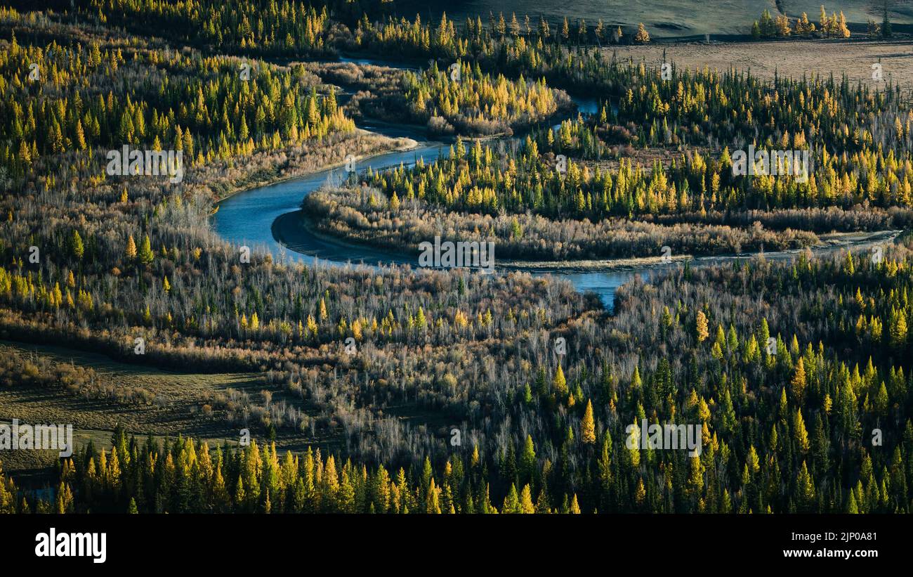 View of the forest and the Katun River in Altai, Western Siberia ...