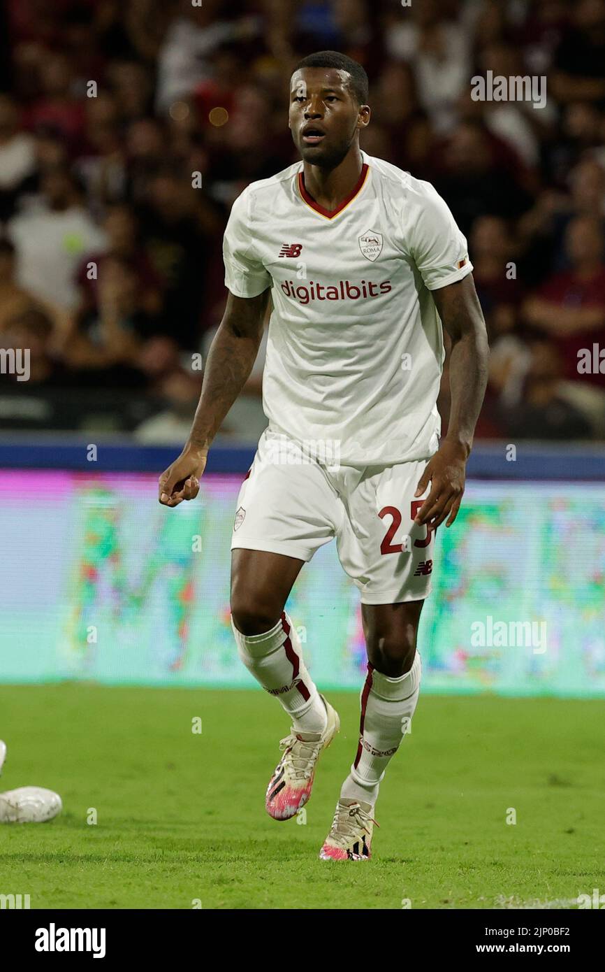 Georginio wijnaldum 2022 hi-res stock photography and images - Alamy