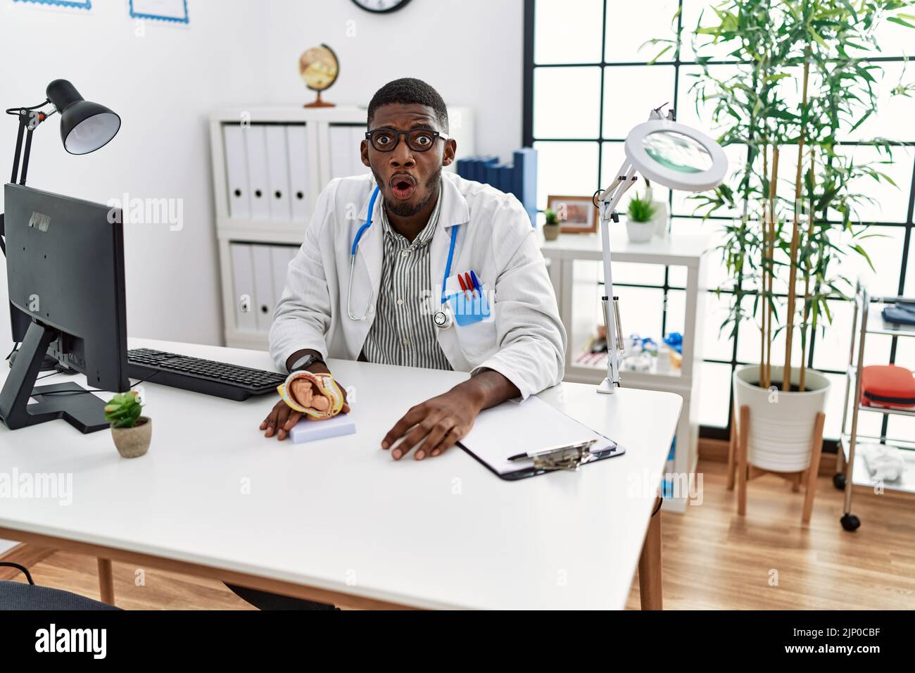 Young african american doctor man holding anatomical model of female ...