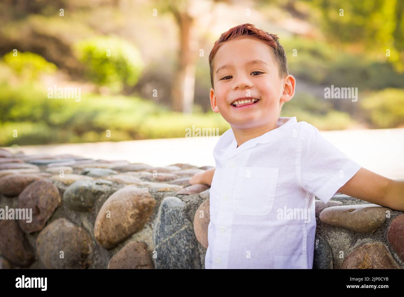 Outdoor portrait of a mixed race Chinese and Caucasian boy Stock Photo ...