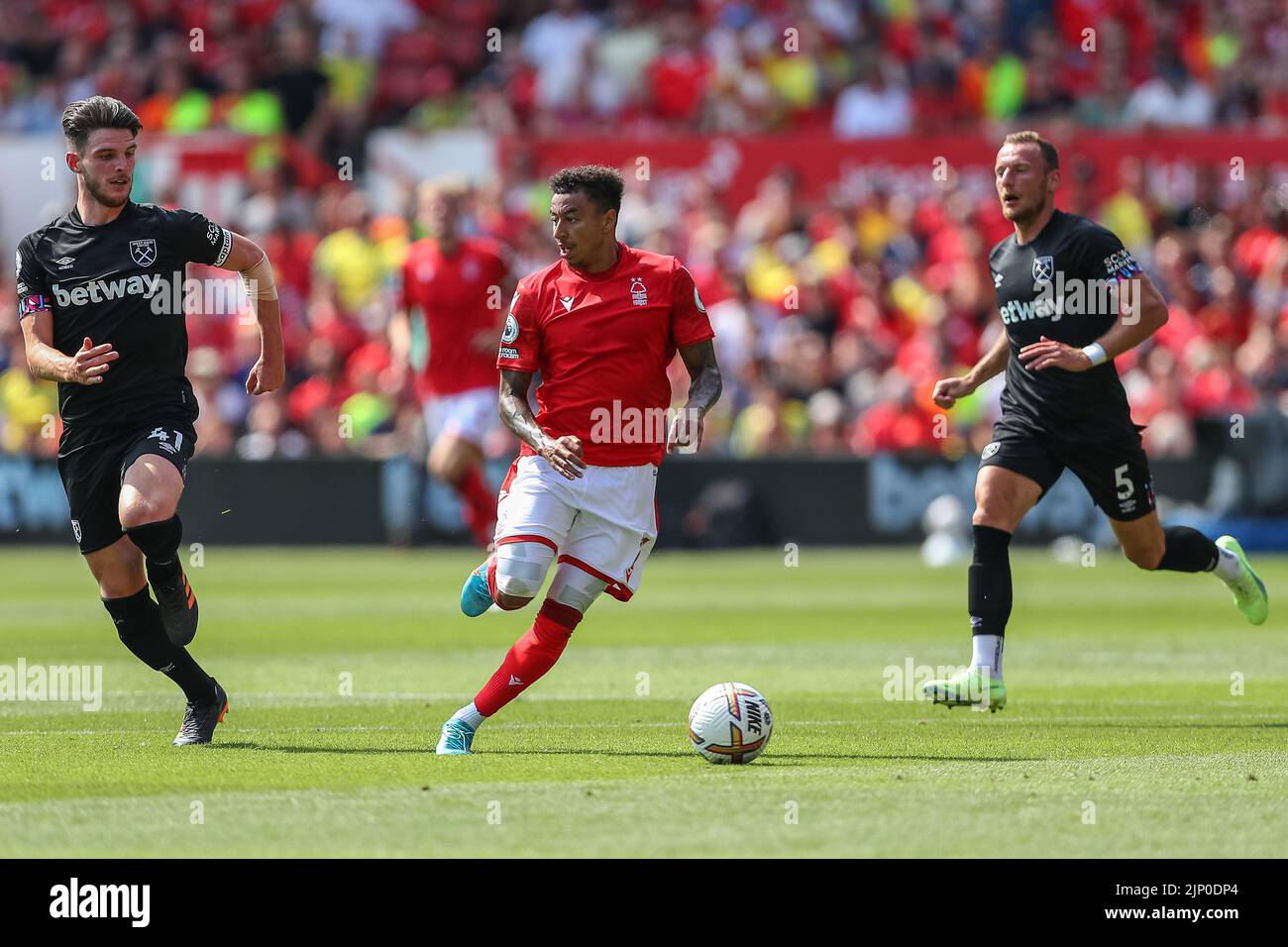 Jesse lingard forest hi-res stock photography and images - Alamy