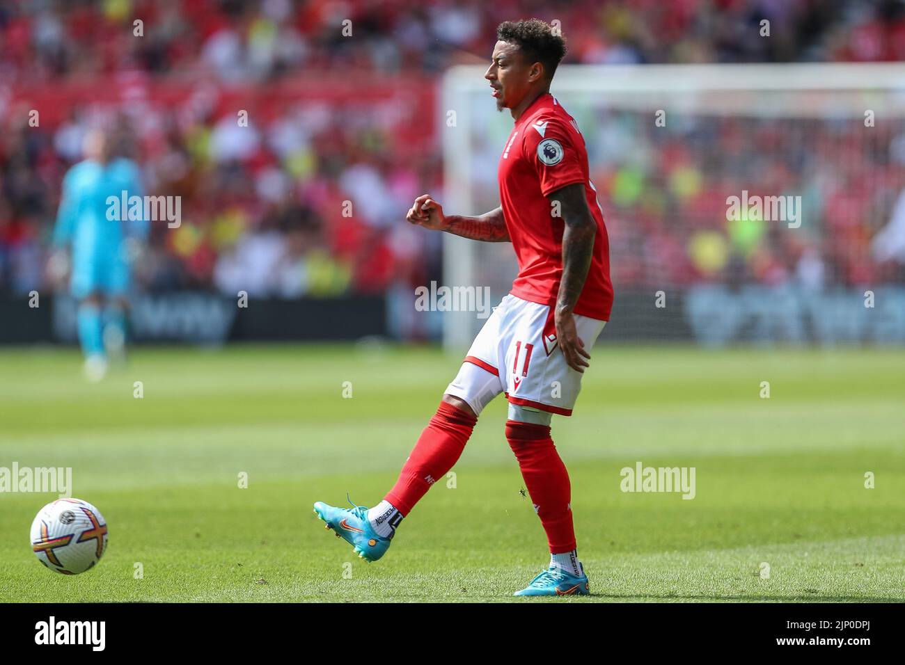 Jesse lingard forest hi-res stock photography and images - Alamy