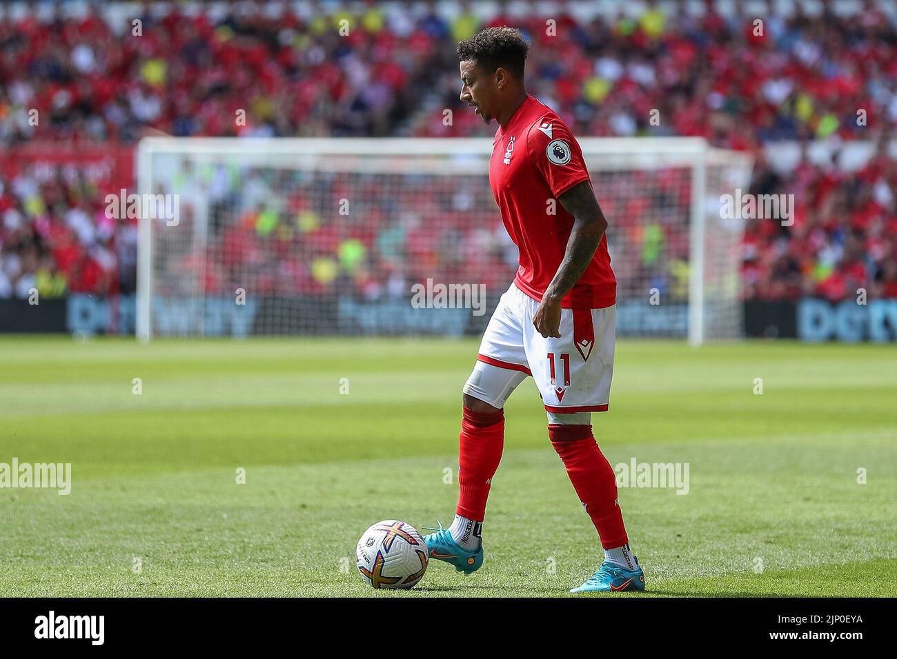 Jesse lingard forest hi-res stock photography and images - Alamy