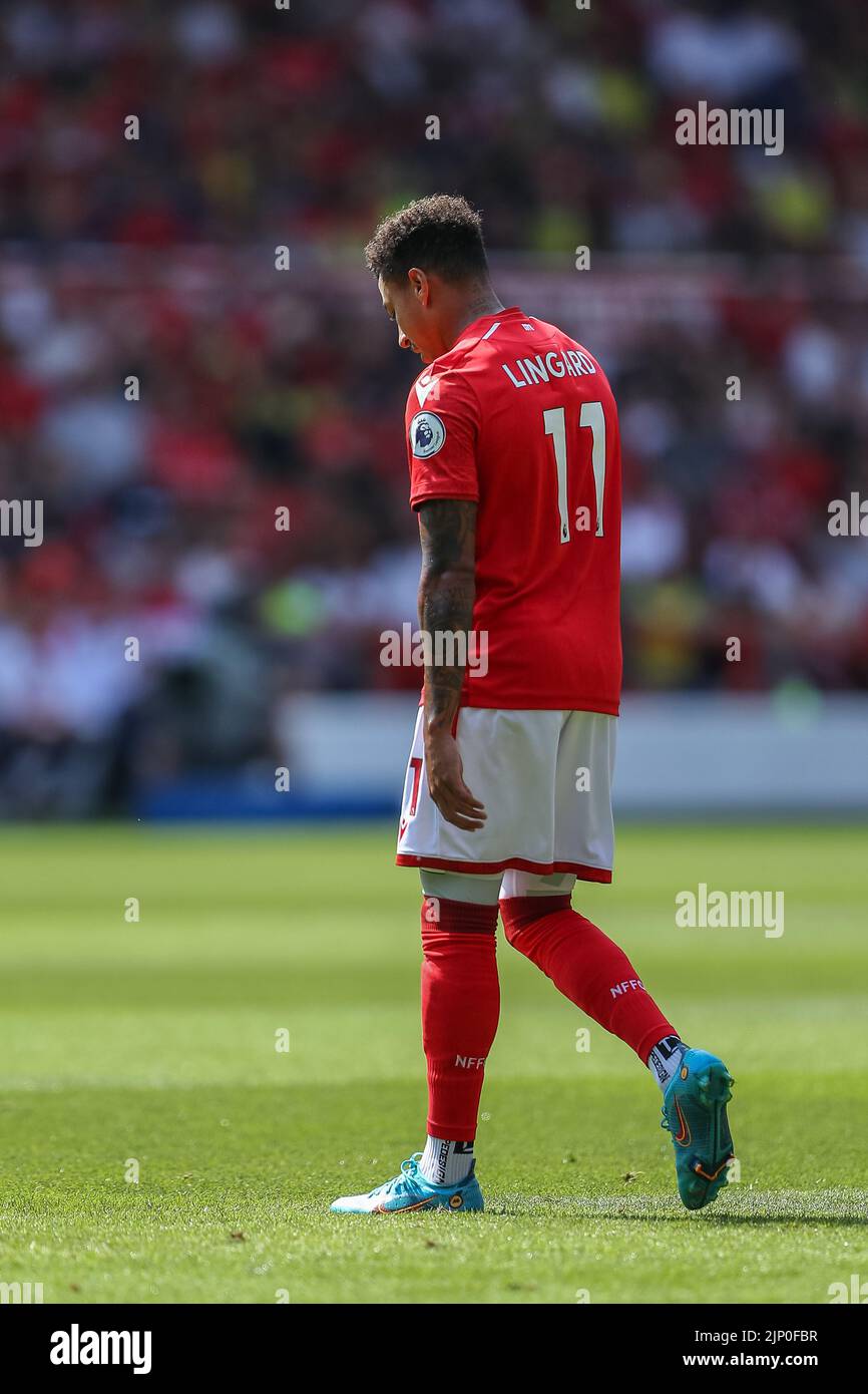 Jesse lingard forest hi-res stock photography and images - Alamy