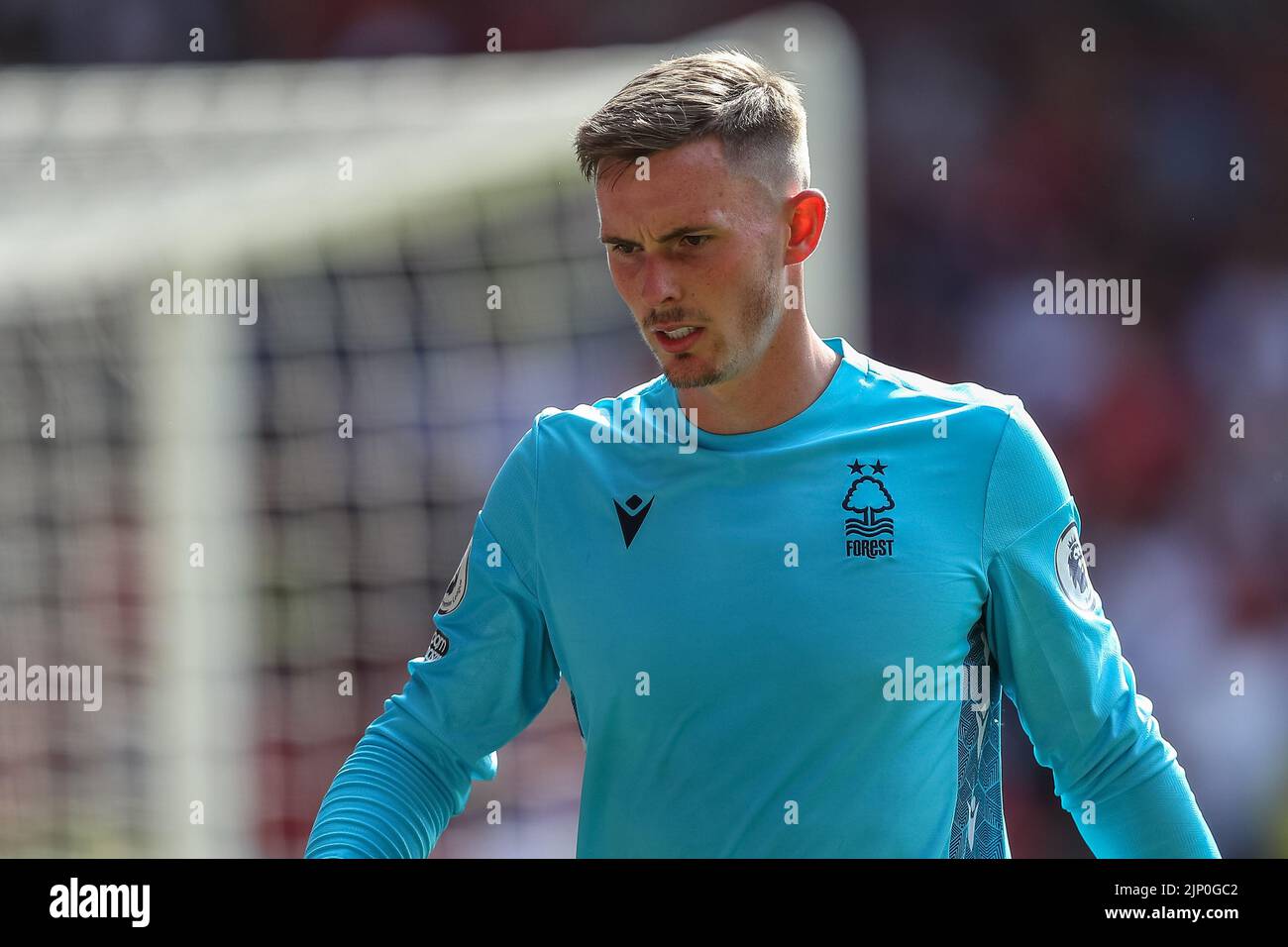 Dean henderson forest hi-res stock photography and images - Alamy
