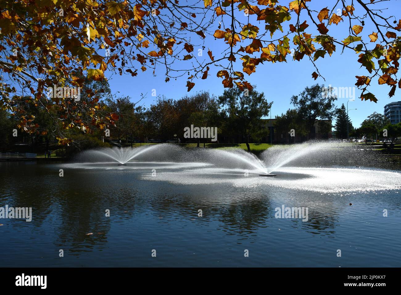 autumn trees and fountain in the park East Perth Stock Photo - Alamy