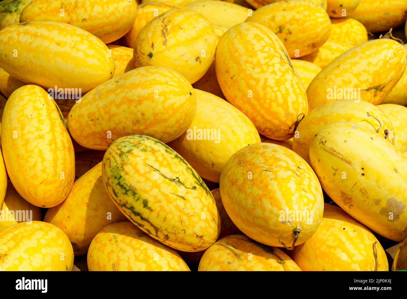 Natural background with lots of yellow watermelons Stock Photo - Alamy