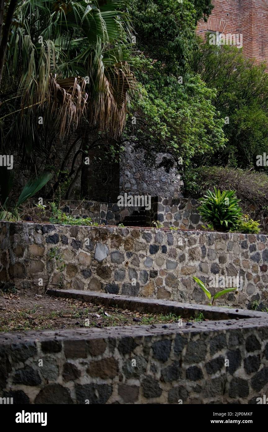 stone bases, masonry. Platforms with vegetation, plants and trees ...