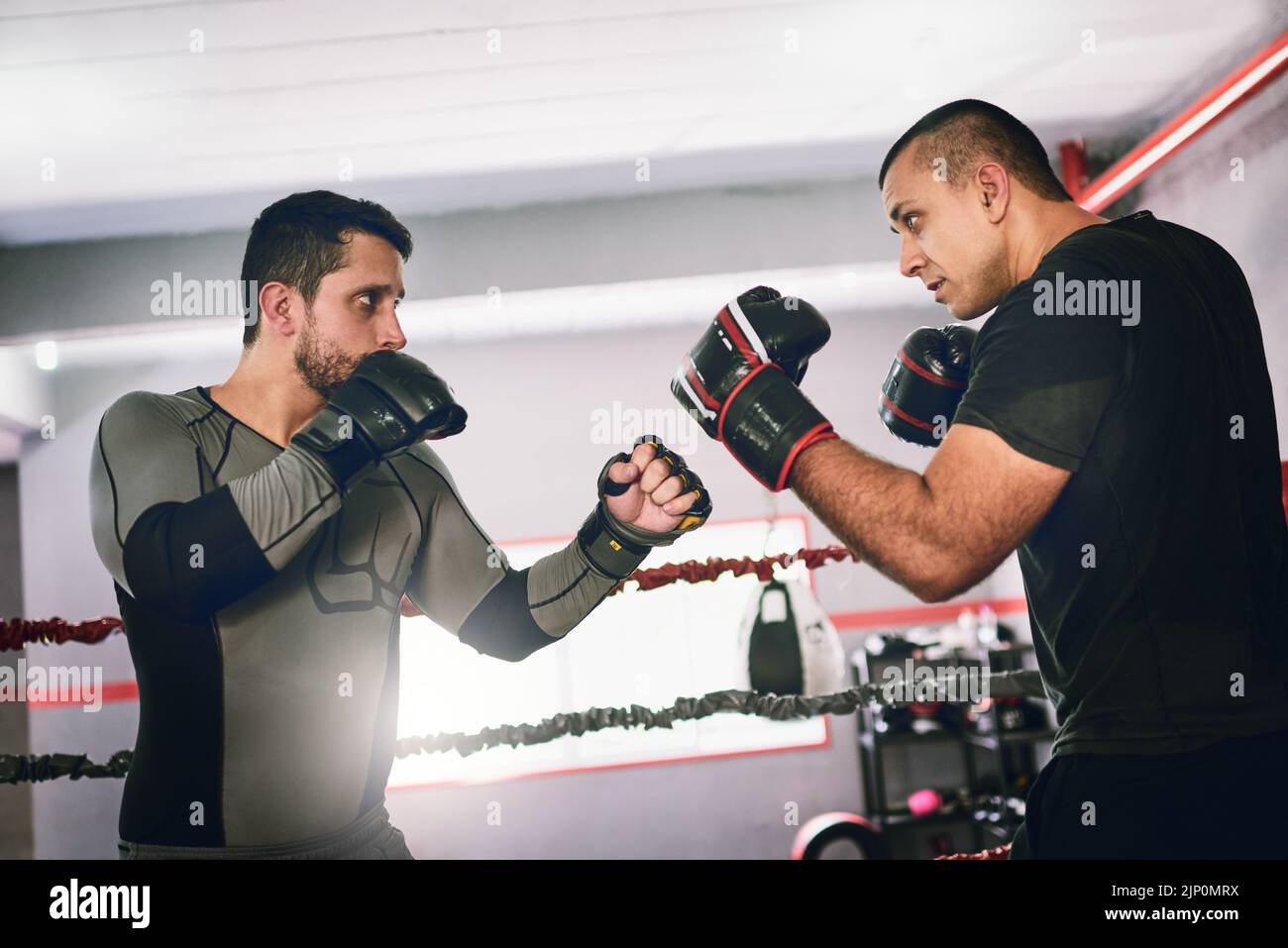 Boxers facing off in ring hi-res stock photography and images - Alamy