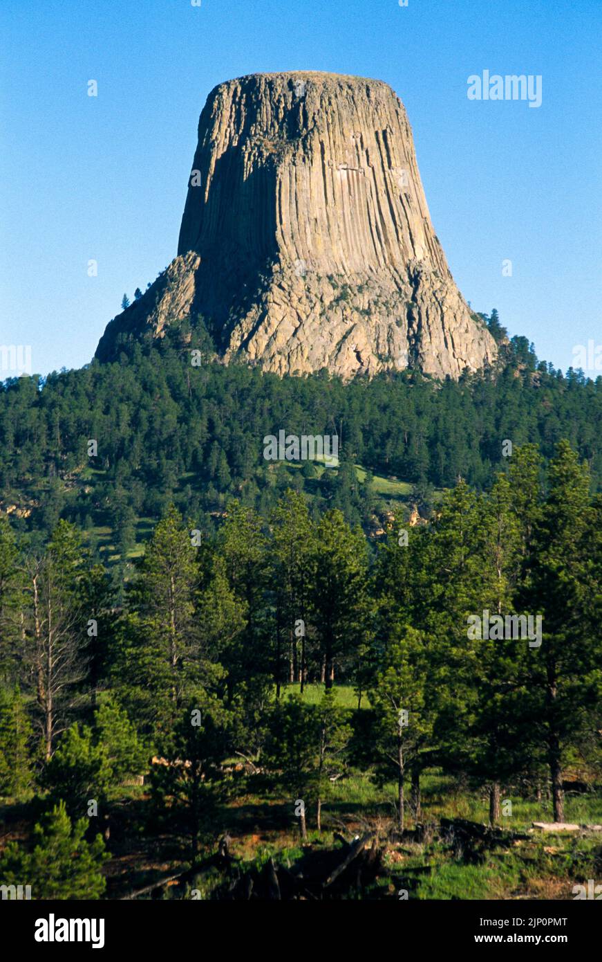 Morning at Devils Tower National Monument, a butte rising above the ...
