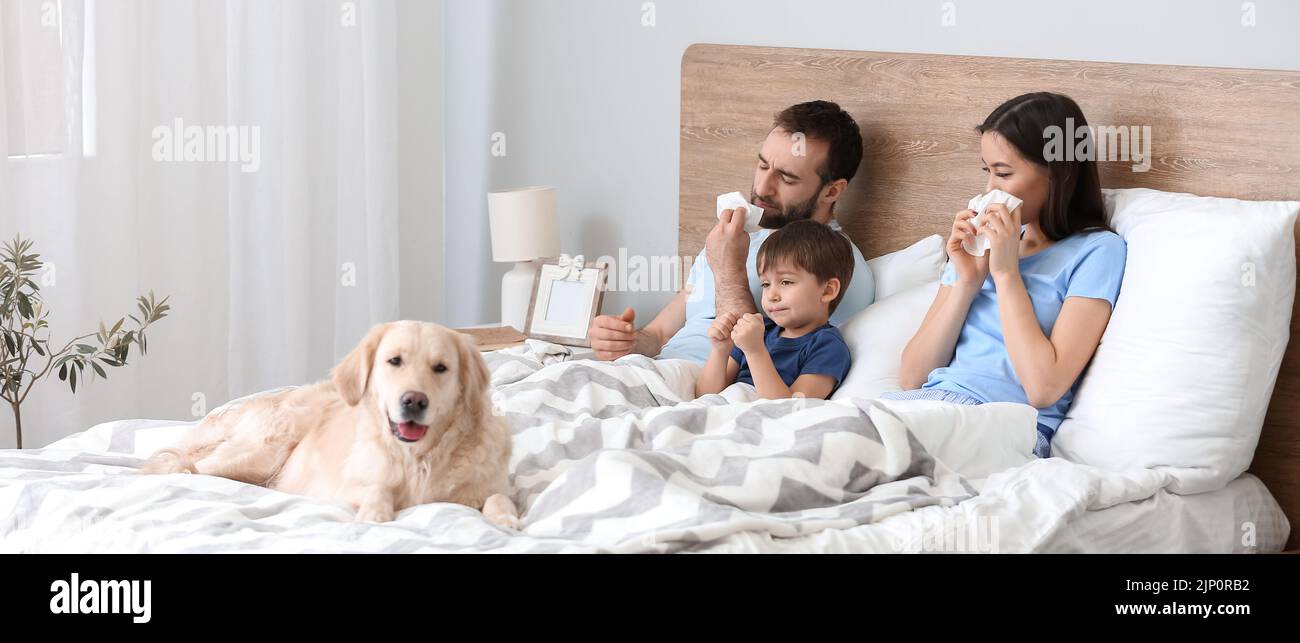 Family ill with flu in bed Stock Photo - Alamy