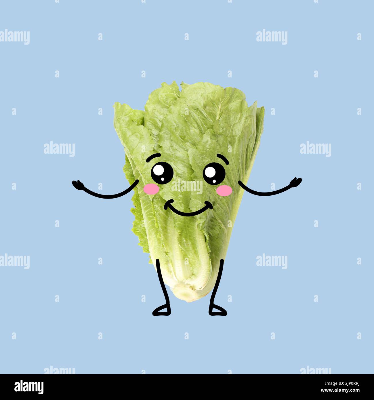 Funny romaine lettuce on light blue background Stock Photo - Alamy