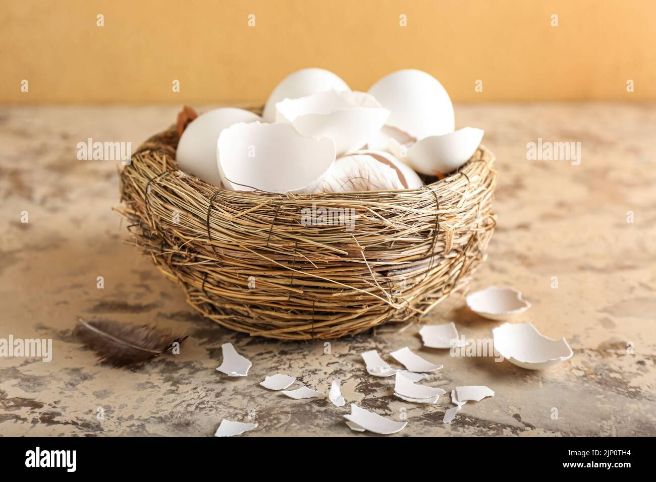 Nest with broken egg shells on grunge background Stock Photo - Alamy