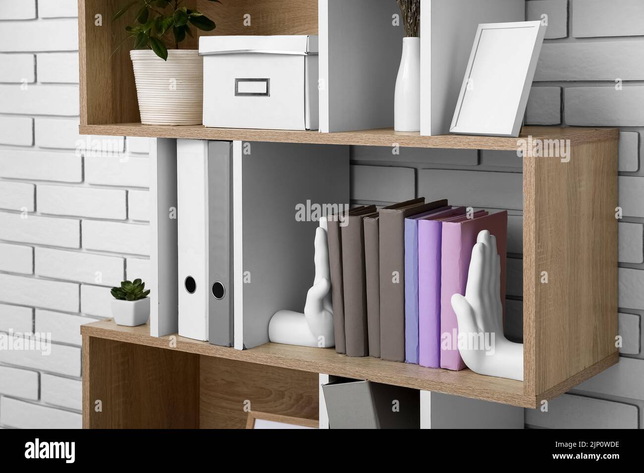 Shelving unit with stylish holder for books and houseplants near white ...