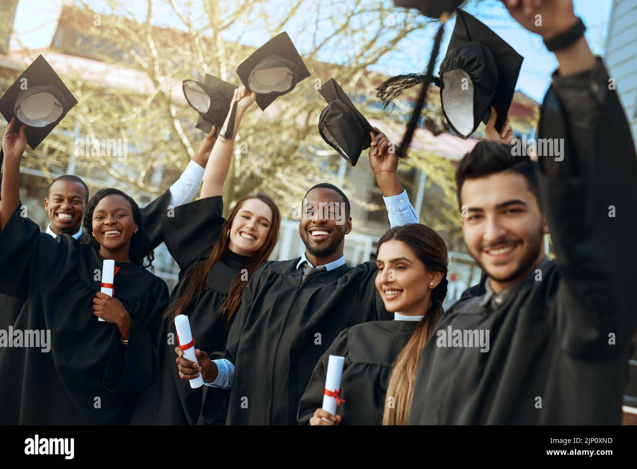 Were proof that hard work does pay off. Portrait of a group of happy ...