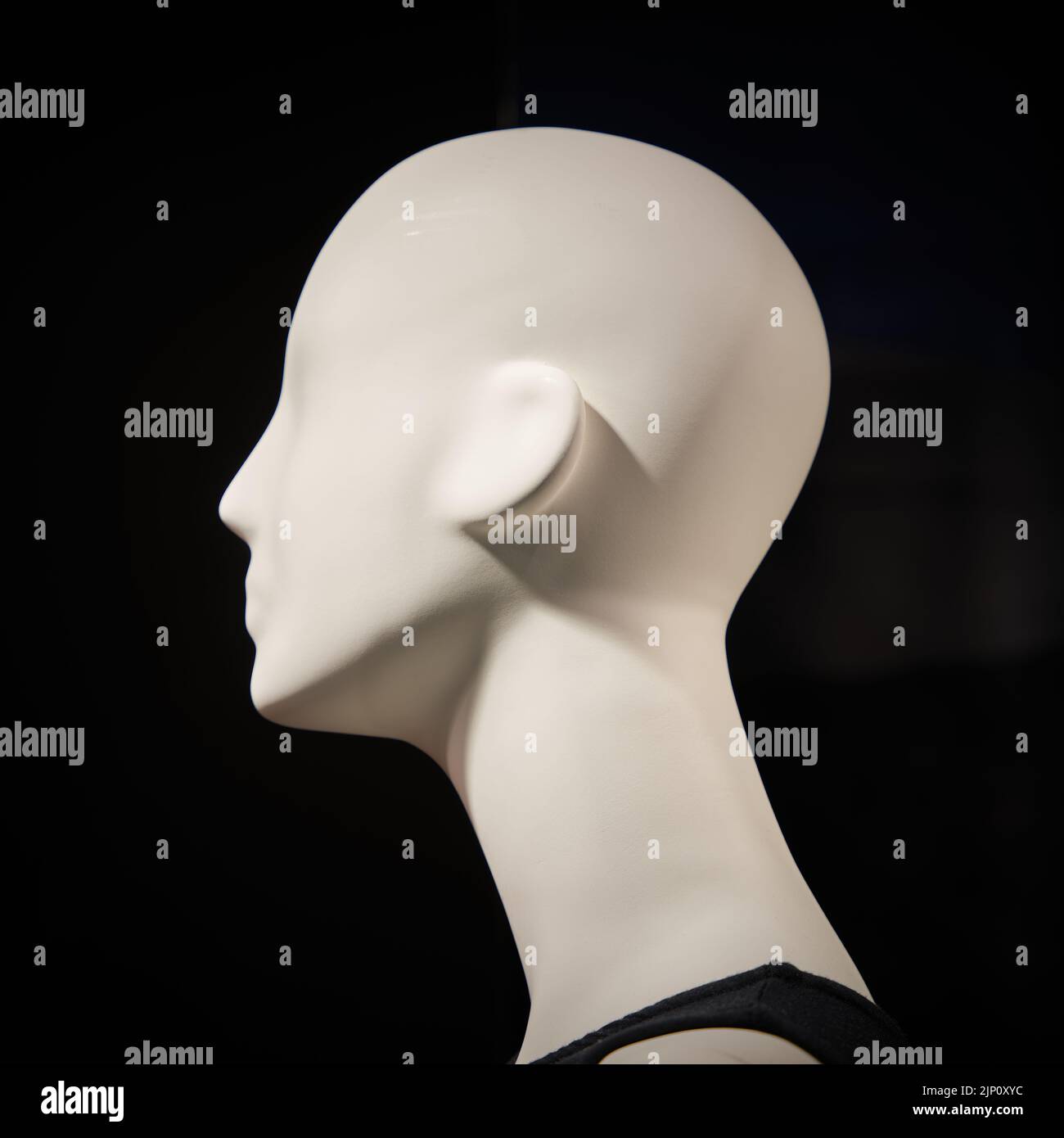 Plastic model showcase hi-res stock photography and images - Alamy