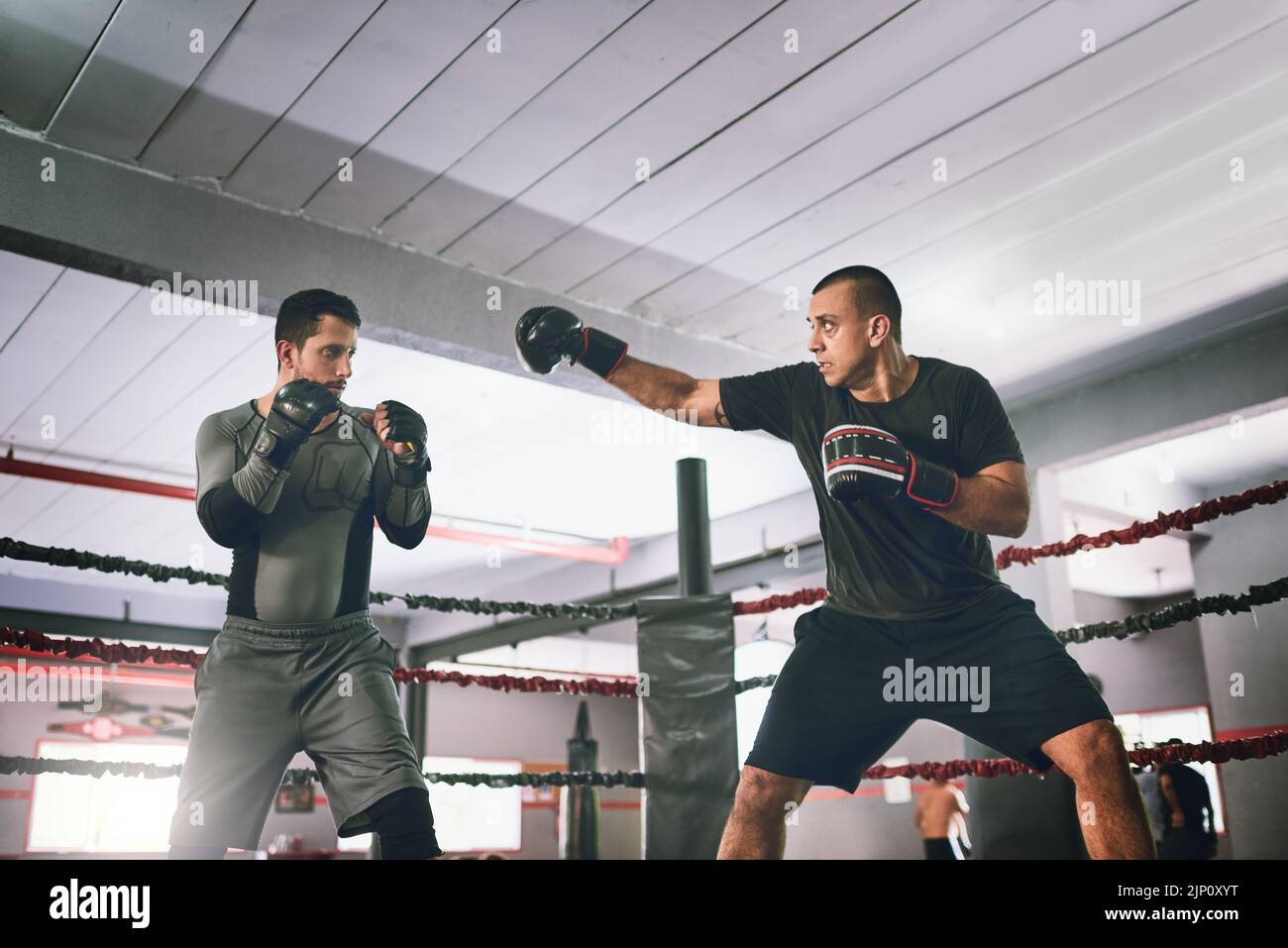 Hes got some reach with those punches. two young male boxers facing ...