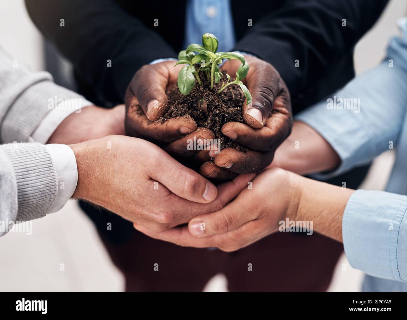Building a business from the ground up. a group of businesspeople ...