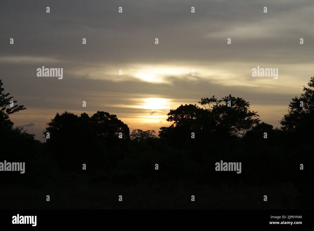 Beautiful sunset at Kalawewa National Park Stock Photo - Alamy