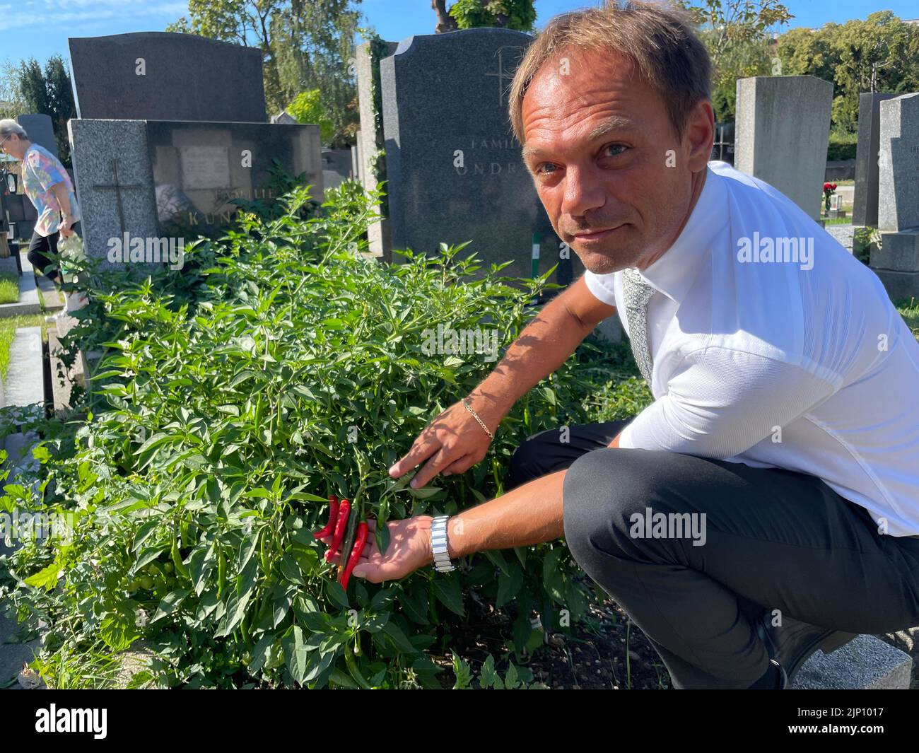 Wien, Austria. 10th Aug, 2022. Cemetery administrator Walter Pois shows a grave planted with ...