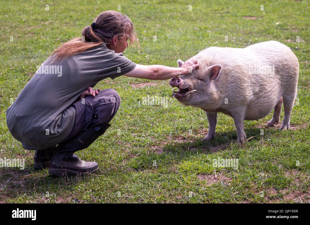 Land strokes hi-res stock photography and images - Alamy