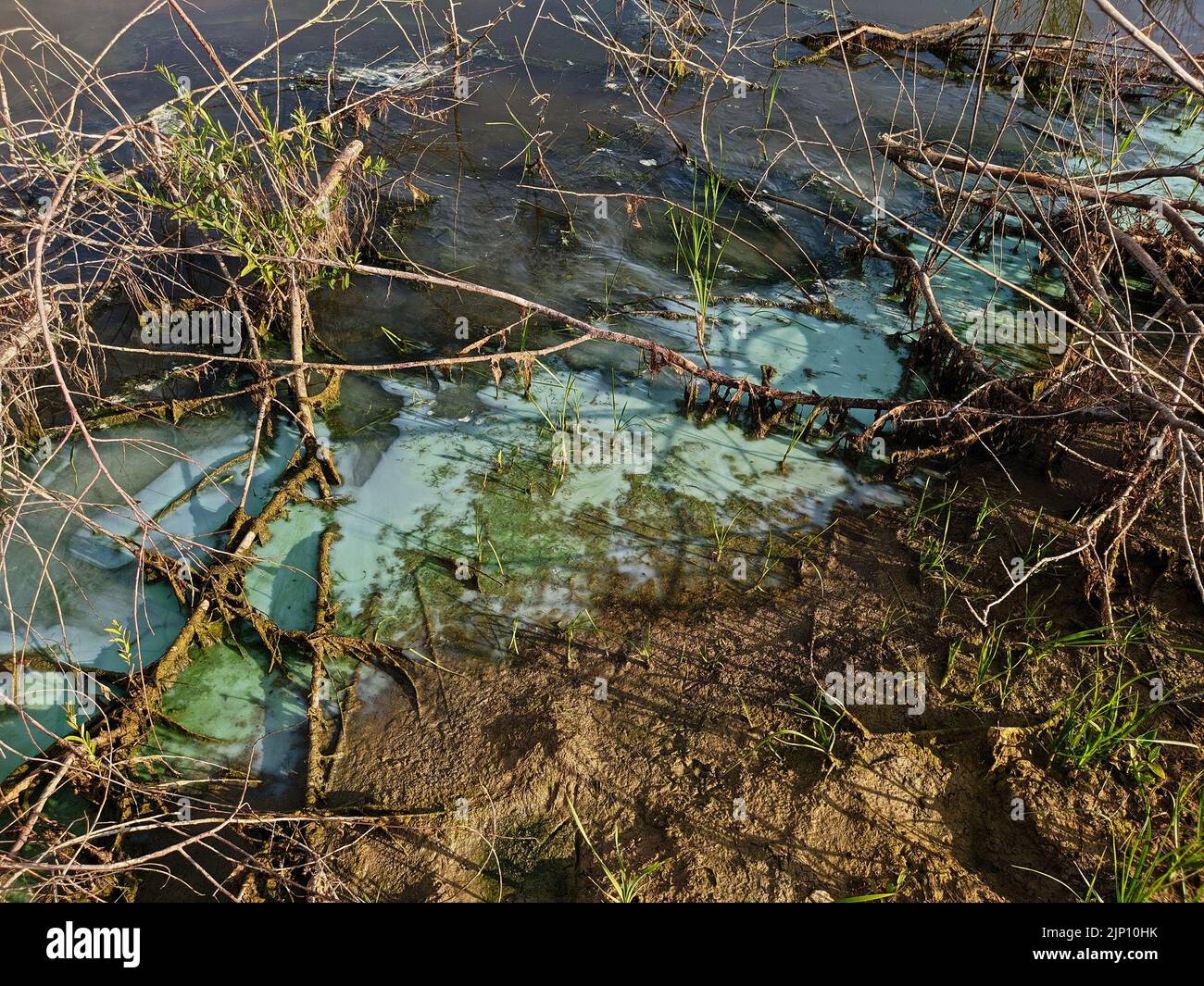 Problems with ecology. Polluted water near the coast Stock Photo - Alamy