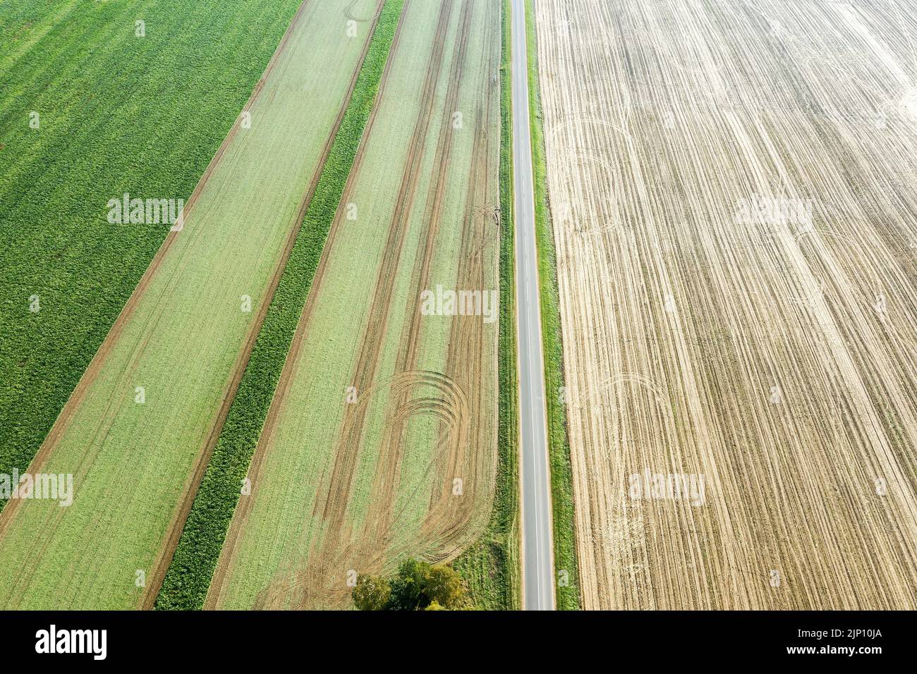 straight country road pass through vast plowed fields and grasslands on a sunny summer day ...