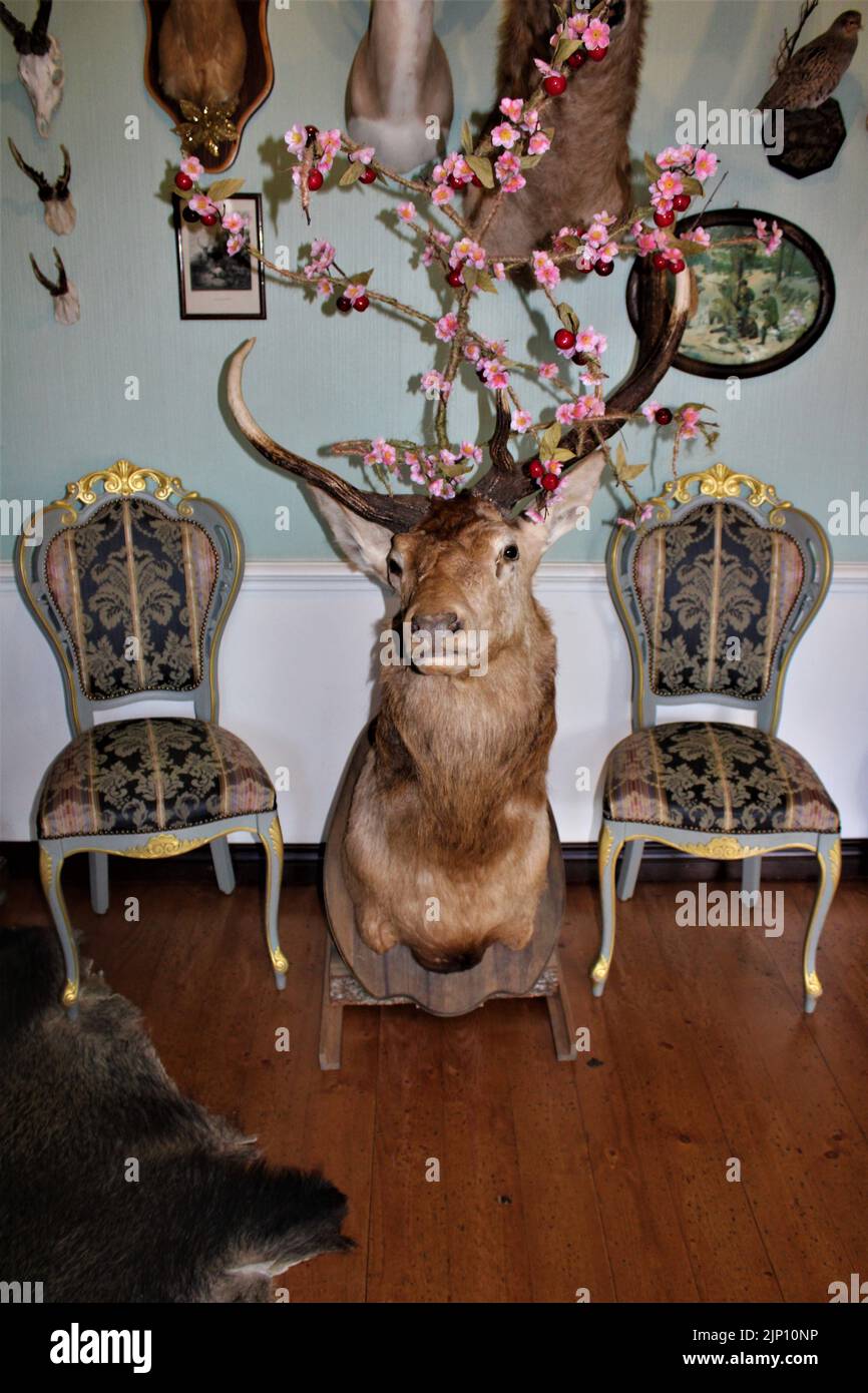 The beautiful nature of Latvia Stock Photo - Alamy