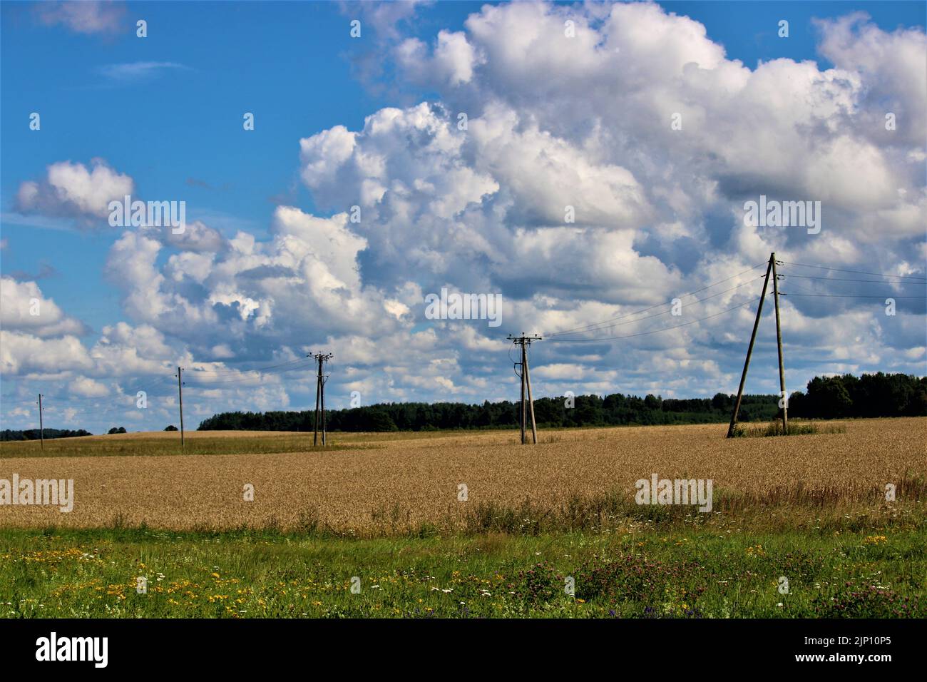 The beautiful nature of Latvia Stock Photo - Alamy