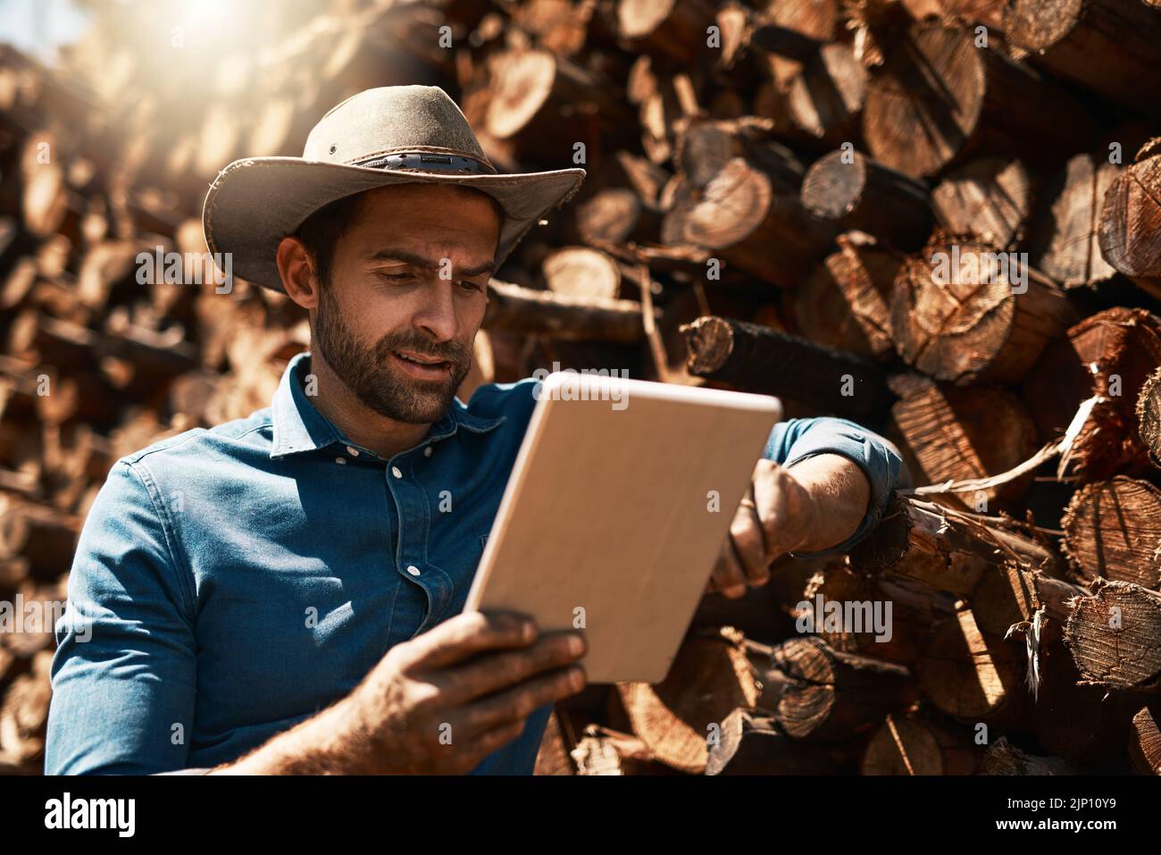 Running is eye over the details. a lumberjack using his tablet while ...