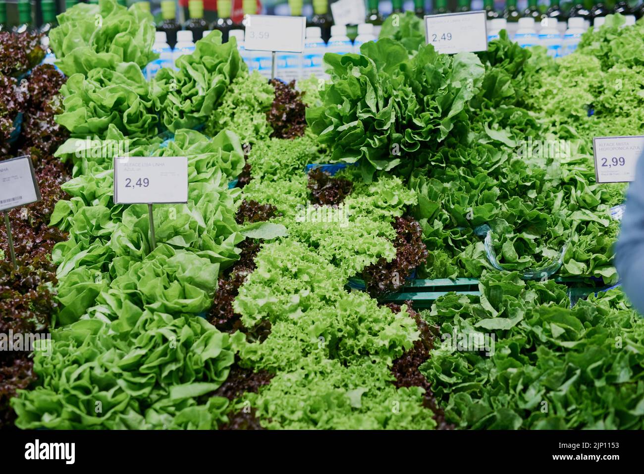 They put the green in green grocer. a selection of fresh green ...