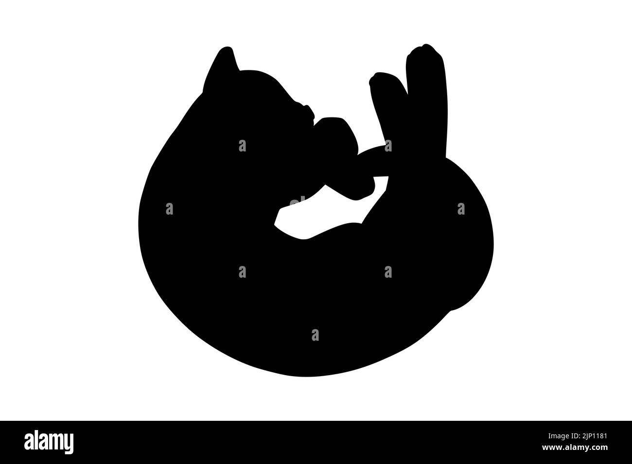 Lying cat black silhouette. Playful cat stencil. Cute vector ...