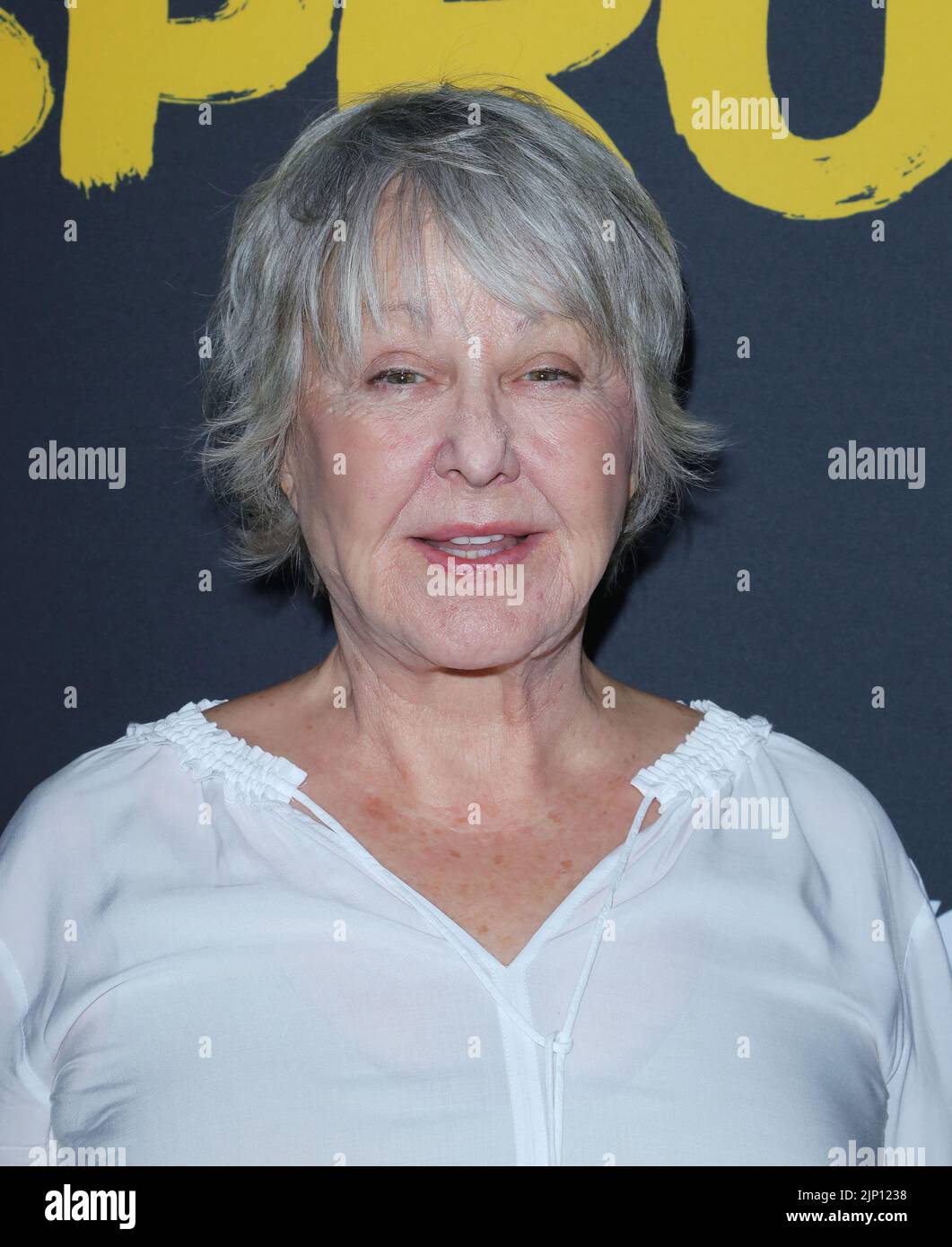 Hollywood, USA. 14th Aug, 2022. Susan Ruttan arrives at The Red Carpet ...