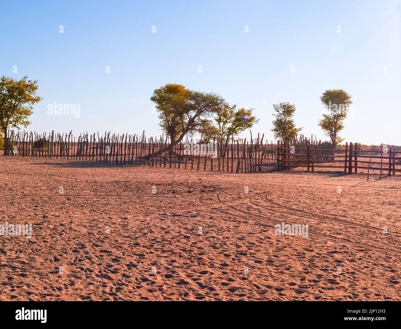 Rustic fences from poles forming stockyards in desert environment in ...