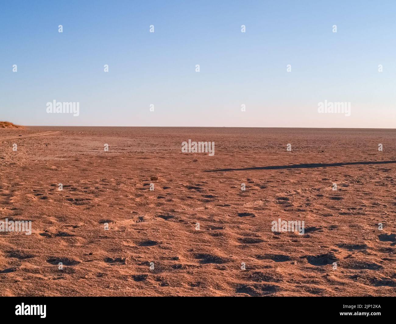 Wide and expansive Makgadikgadi Pan view to horizon in Botswana, Africa ...