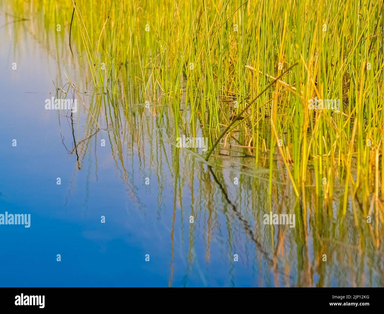 Reed canoes hi-res stock photography and images - Alamy