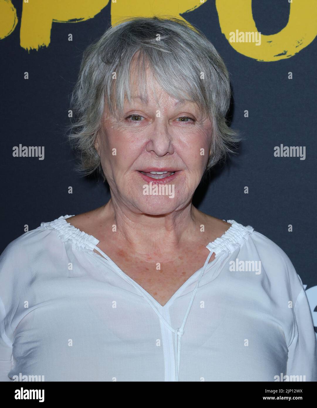 Susan Ruttan arrives at The Red Carpet Premiere of Amazon SPRUNG held ...