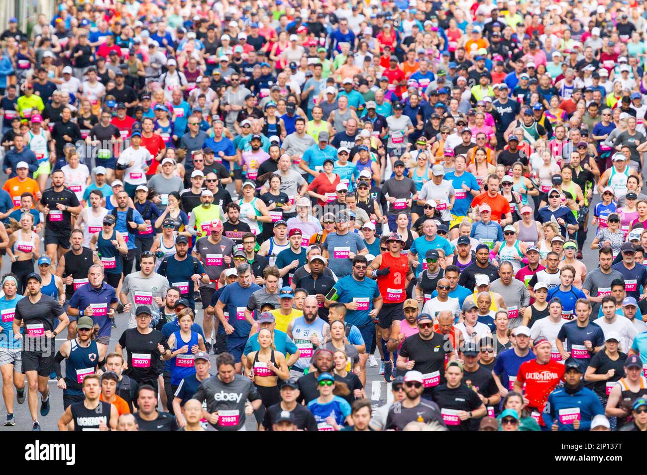 Runners in the 2022 'City 2 Surf' marathon in Australia. The event ...
