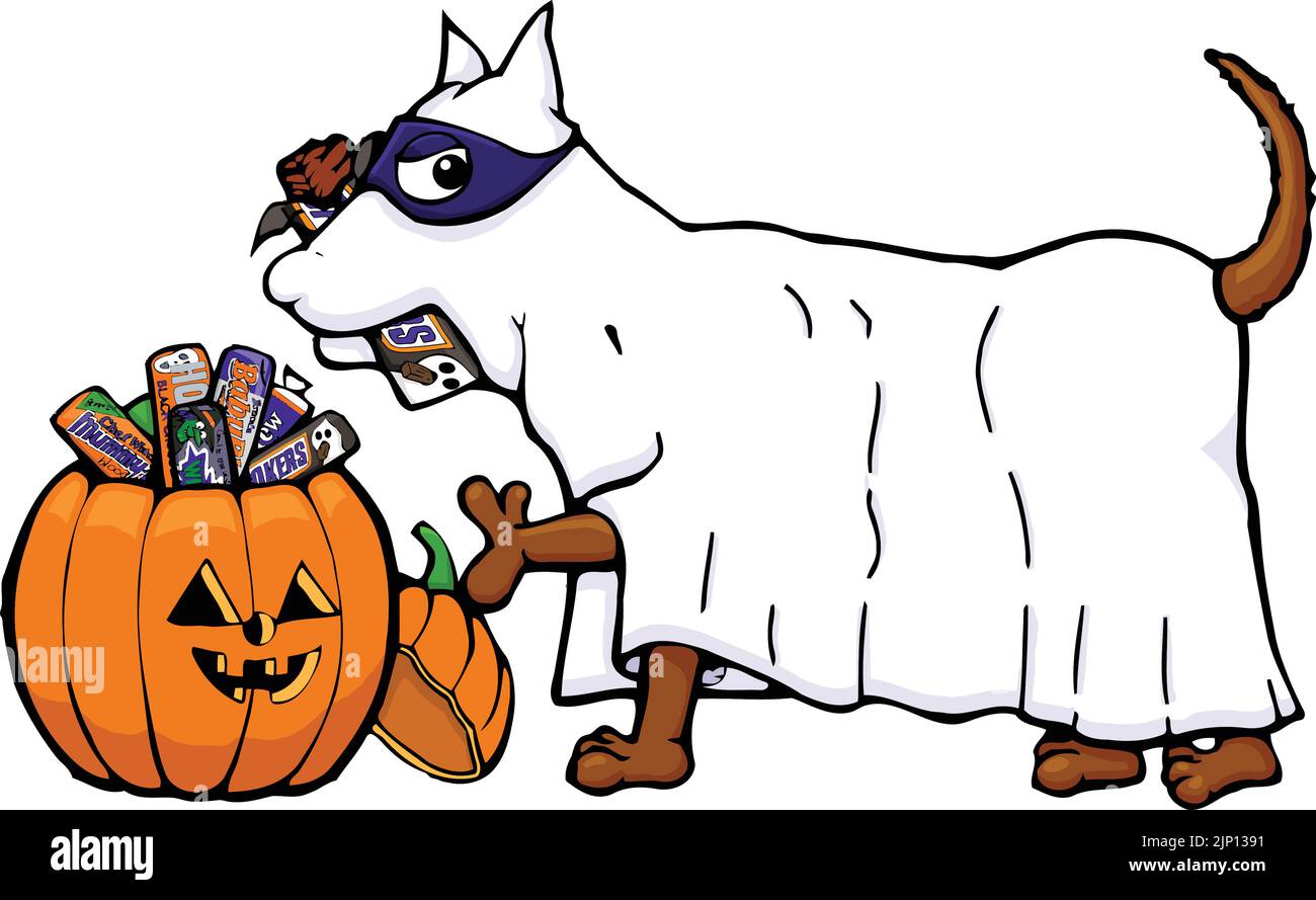 Dog pumpkin costume Stock Vector Images - Alamy