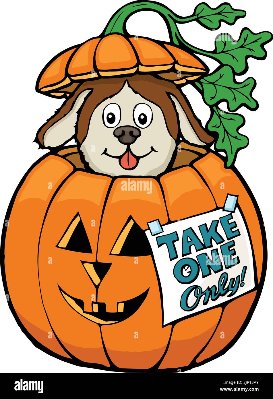 Cute dog pumpkin in Cut Out Stock Images & Pictures - Alamy