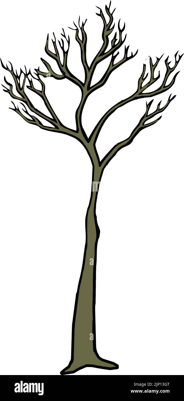 cartoon drawing of spooky dead halloween tree Stock Vector Image & Art ...