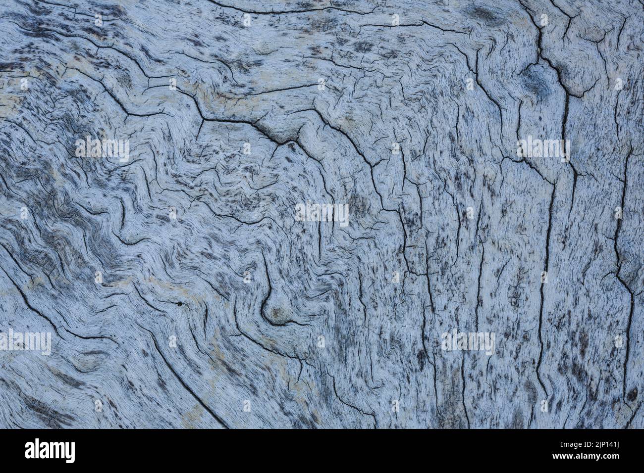 Closeup of background structure of a weathered wooden surface dried ...